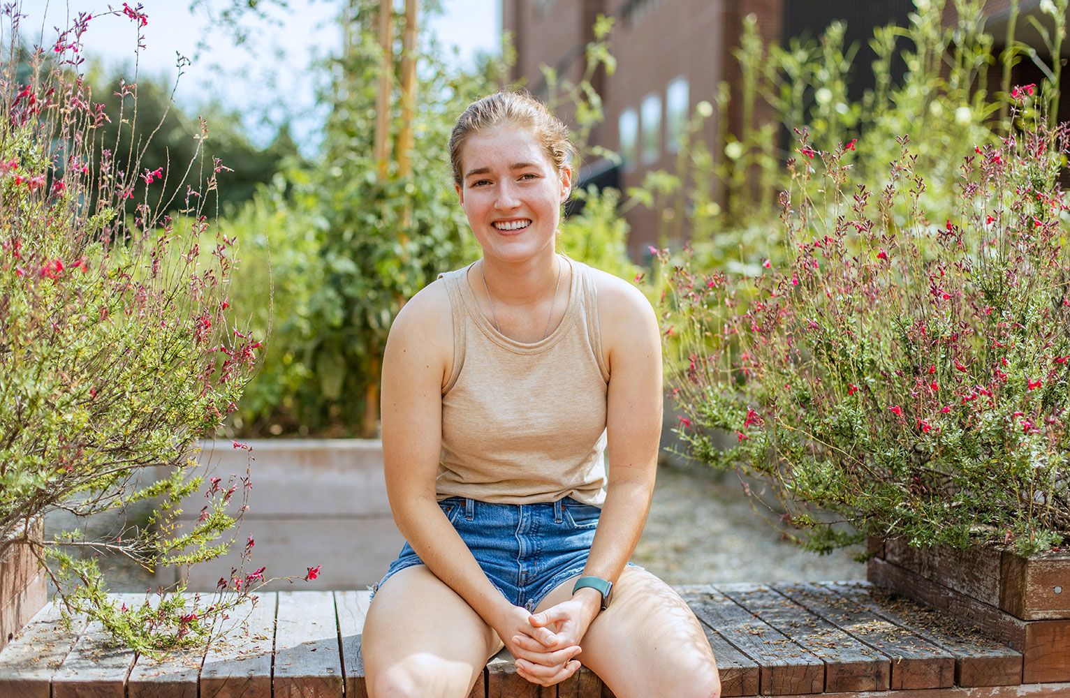 Promoting Sustainability - Carolina Stories