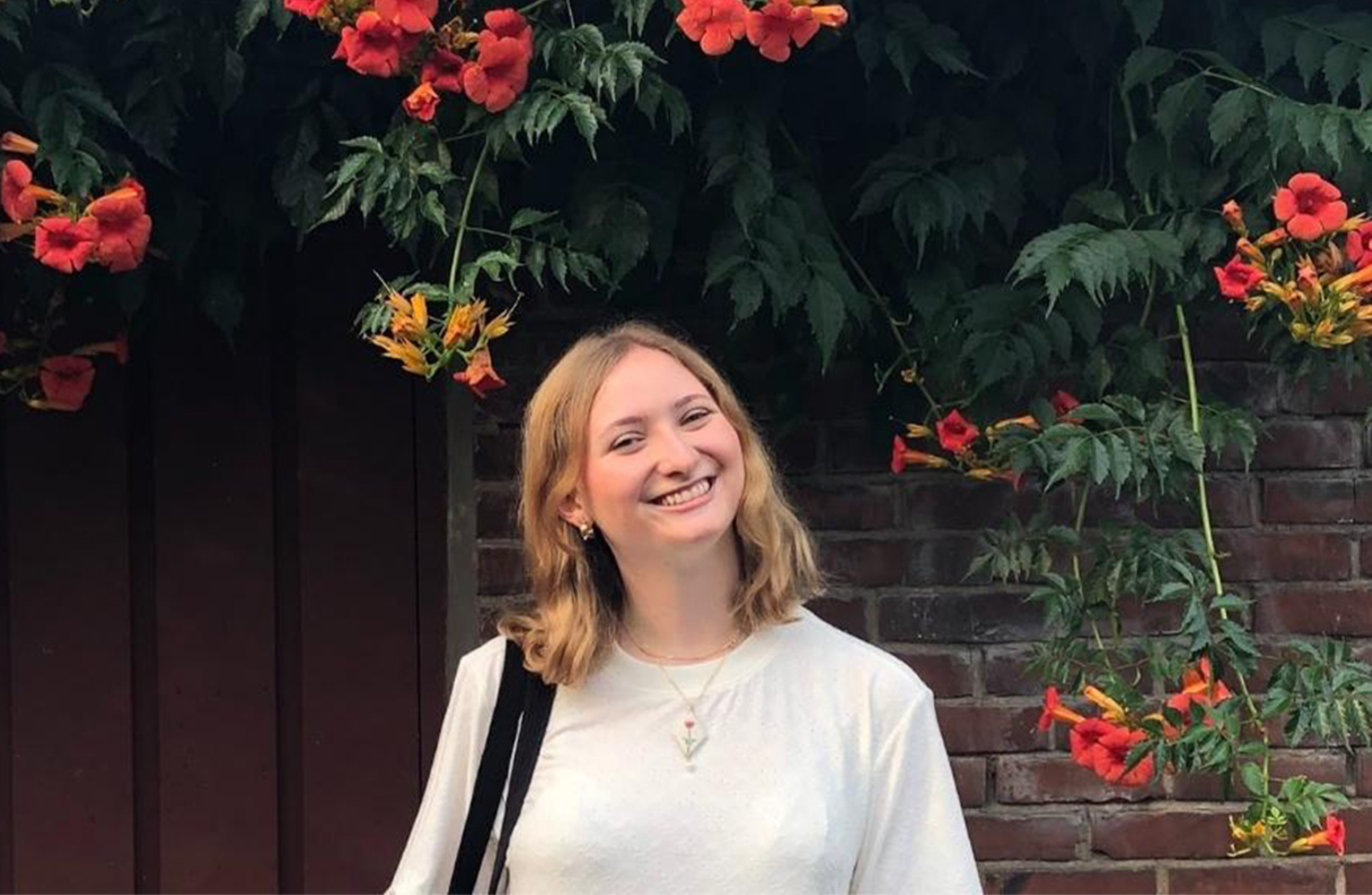 Connecting Daydreaming with Diplomacy - Carolina Stories