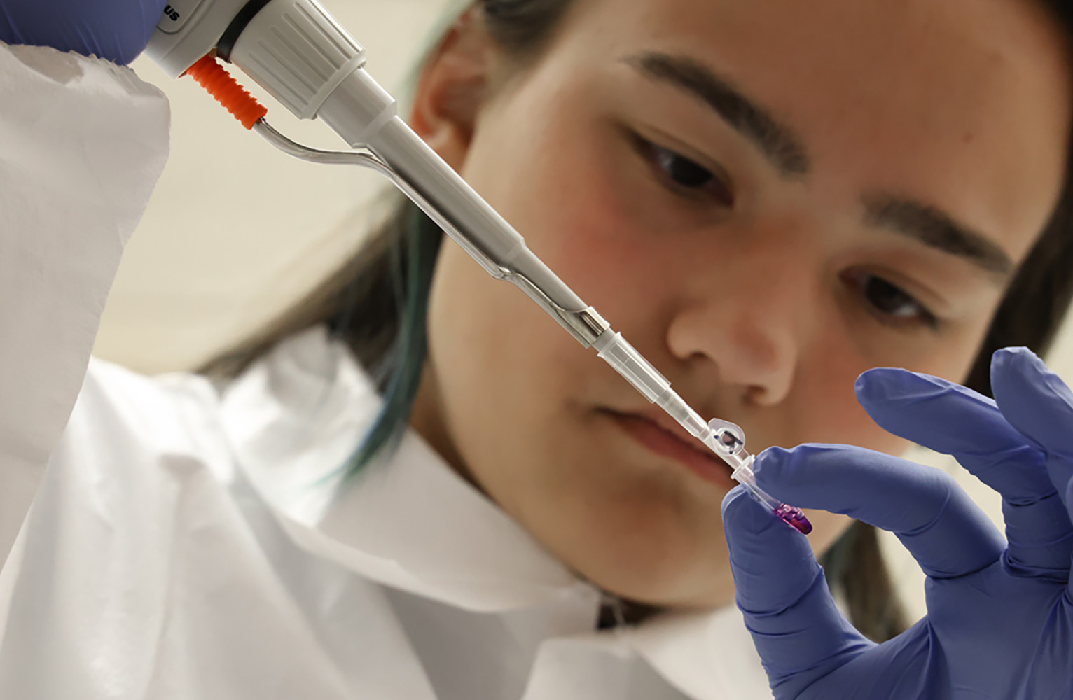 Teaching Beyond the Scope of a Classroom - Carolina Stories