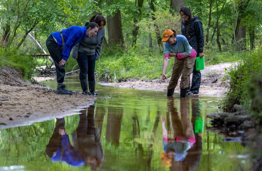 Restore a Watershed, Protect an Ecosystem - Carolina Stories